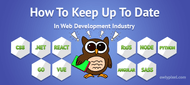 How to Keep Up to Date With Web Development Industry | OwlyPixel Blog